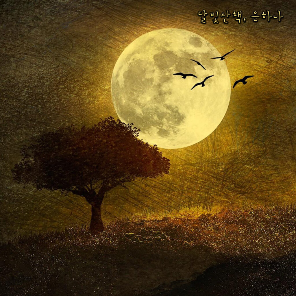 Moonlight Walk – matt.kr