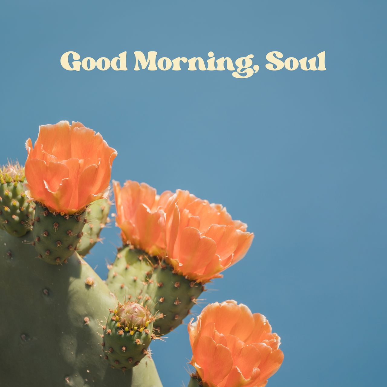 Good Morning, Soul – matt.kr
